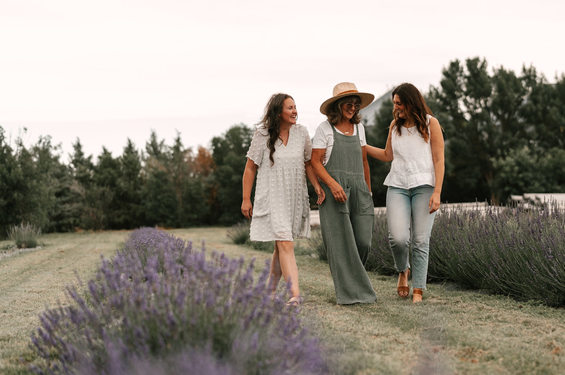 Contact Us | Our Lavender Co.
